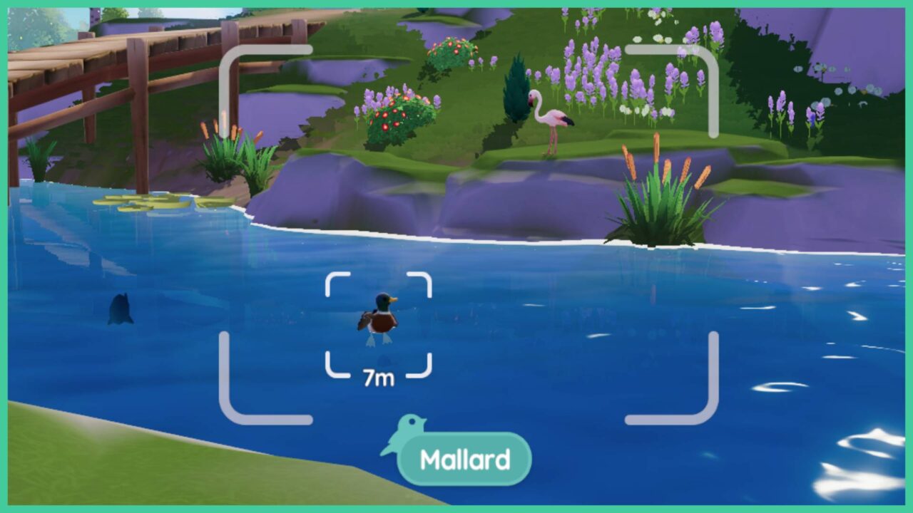Heartopia Birdwatching Guide – Upgrades, Skills, and Info Cards – Gamezebo