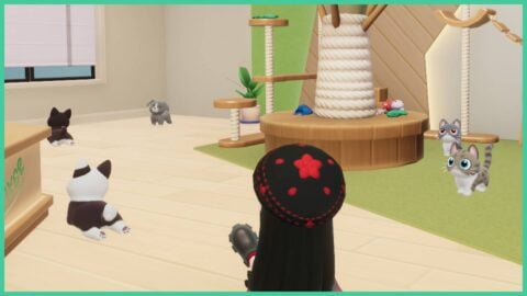 All Heartopia Hidden Achievements – Requirements For Each Badge – Gamezebo